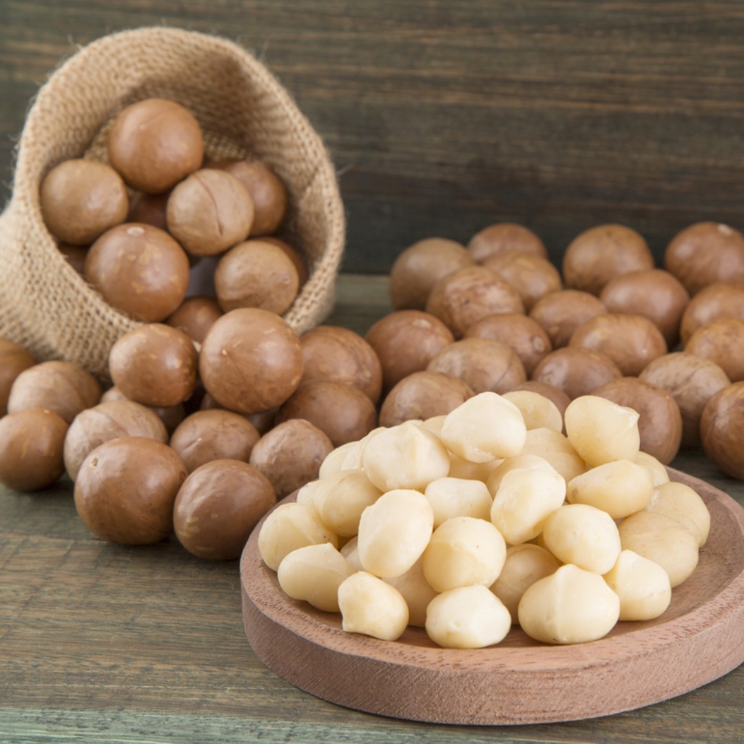 Premium Macadamias with shell (250gr), Food & Drinks, Packaged & Instant Food on Carousell