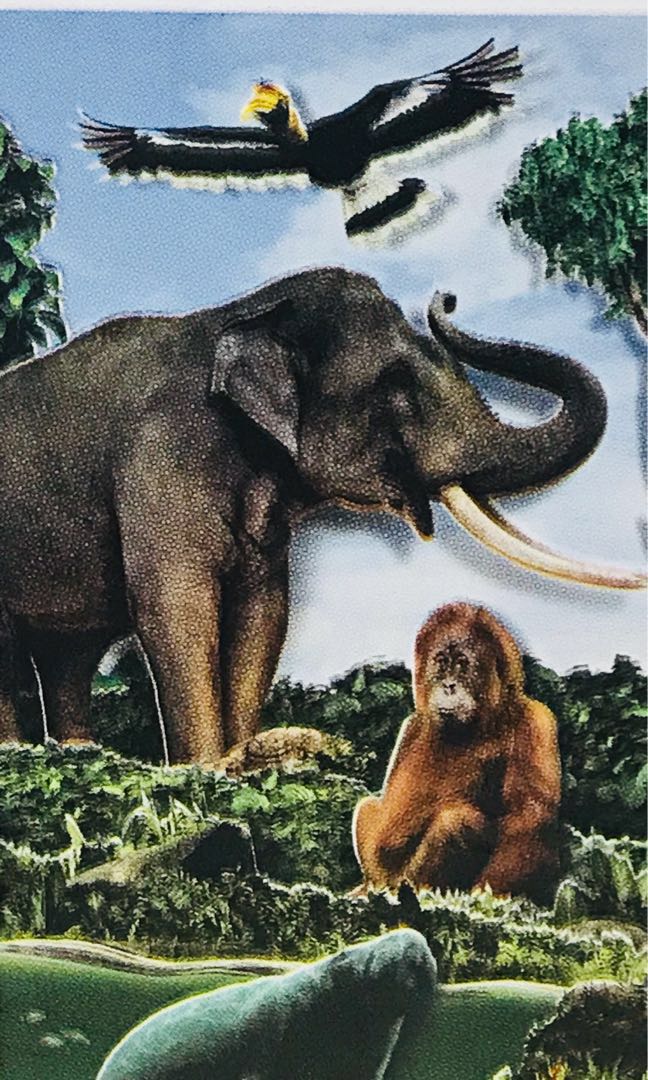 Zoo ticket with tram rides, Tickets & Vouchers, Local Attractions ...