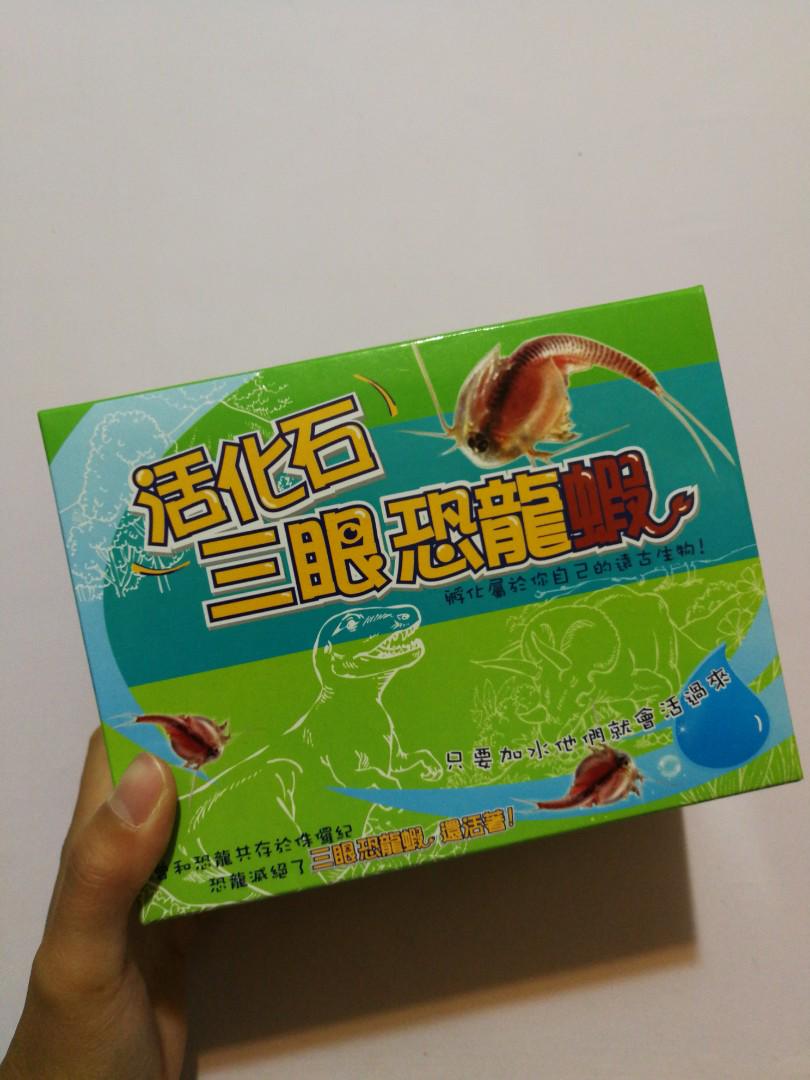 三眼恐龍蝦 Triops longicaudatus, 其他, 其他 - Carousell