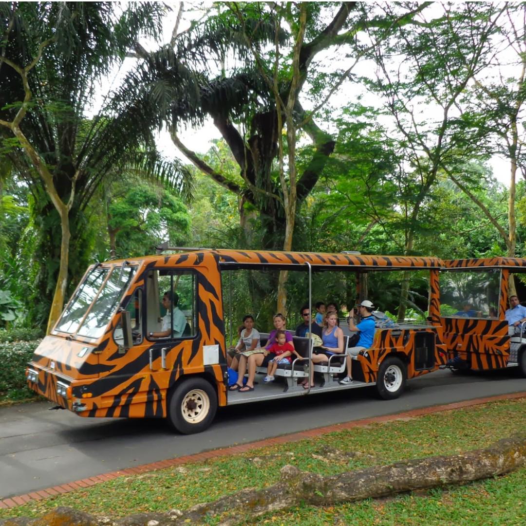 Singapore zoo & tram admission, Tickets & Vouchers, Local Attractions ...