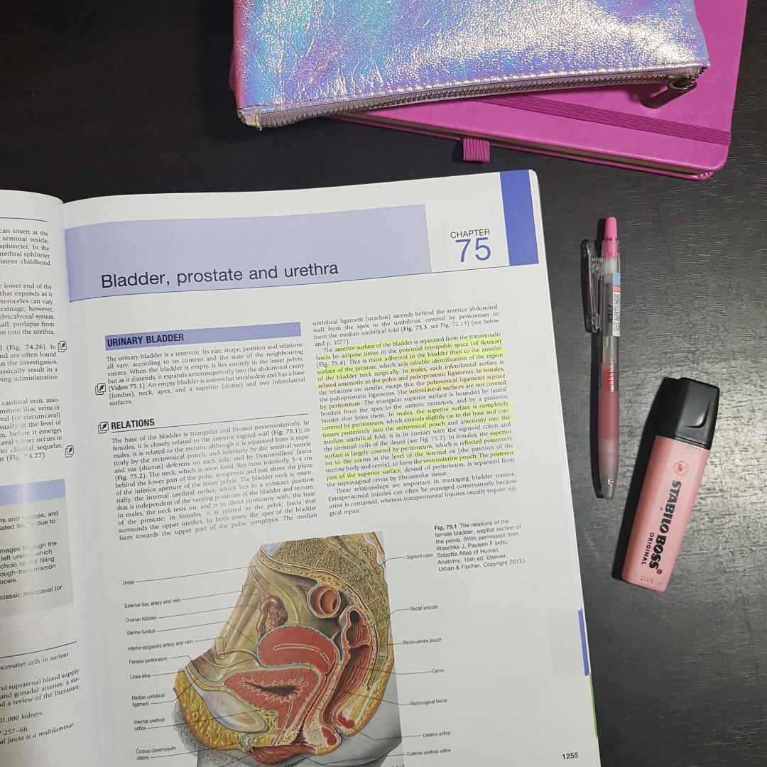 ORIGINAL Gray's Anatomy The Anatomical Basis of Clinical Practice (41st ...