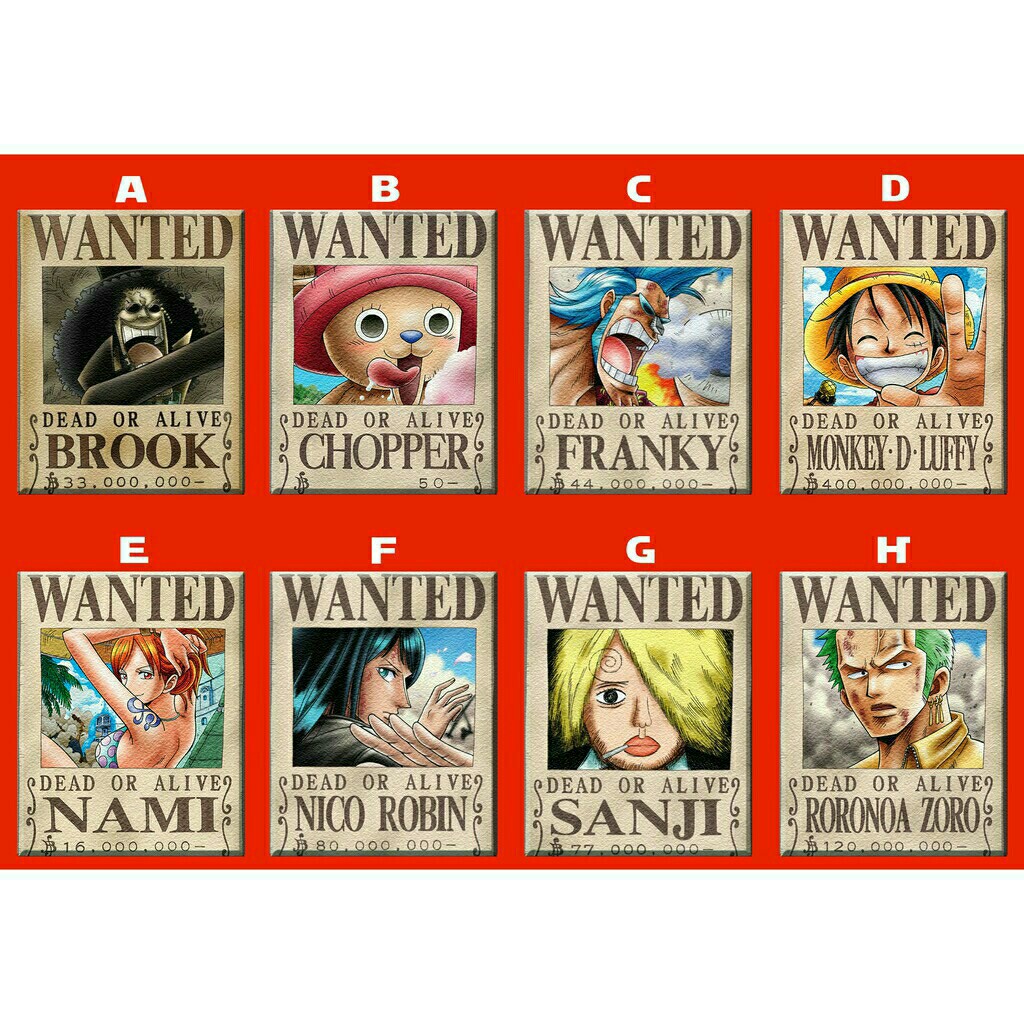 One Piece Ref Magnet Collectible Wanted Poster Japanese Anime Animation ...