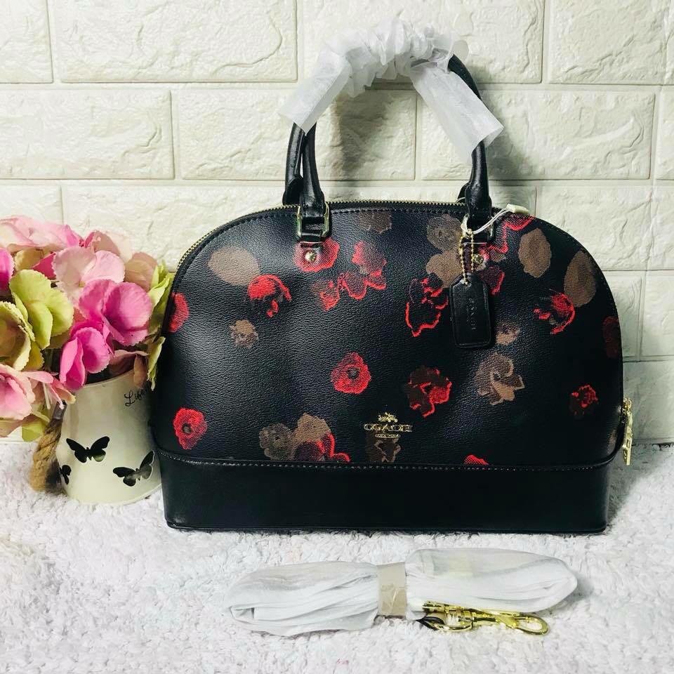 Coach dome, Women's Fashion, Bags & Wallets, Purses & Pouches on Carousell