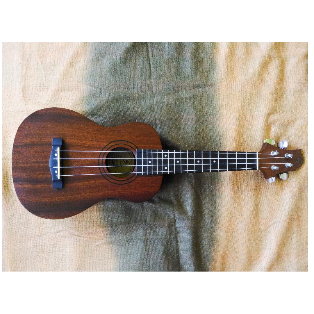 Greg Bennett UK-50 - Ukulele, Hobbies & Toys, Music & Media, CDs & DVDs ...