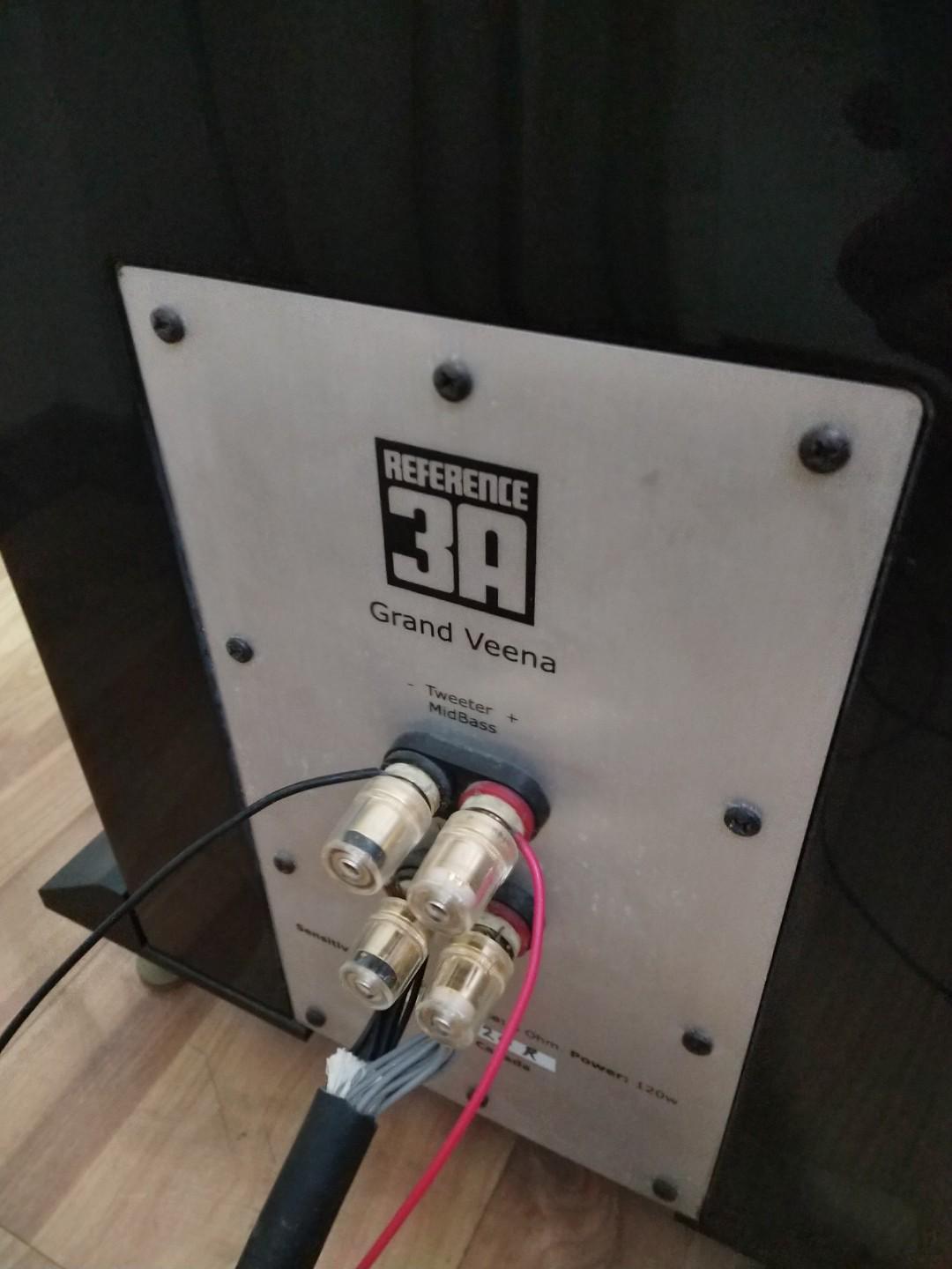 Reference 3a Grand Veena, Audio, Other Audio Equipment on Carousell