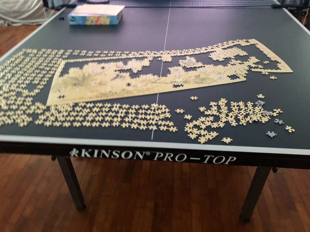Table Tennis table (Kinson Pro Top competition 18mm), Sports Equipment ...