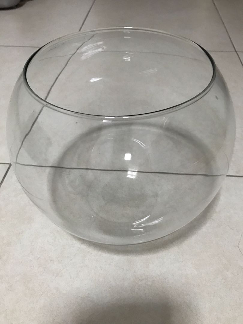 Fish bowl glassware, Furniture & Home Living, Kitchenware & Tableware ...