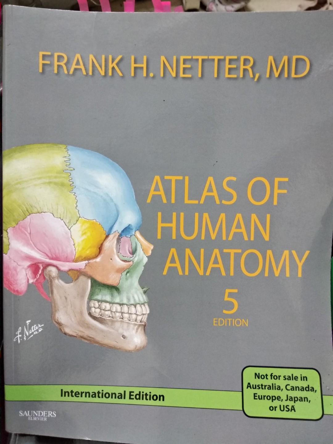 Netter Atlas Anatomy
