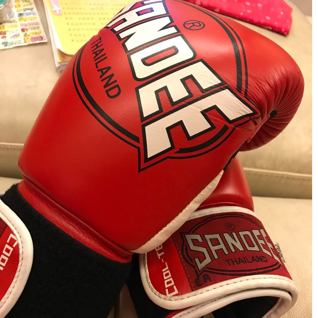 Sandee Boxing Gloves 12oz, Sports Equipment, Exercise & Fitness, Toning ...