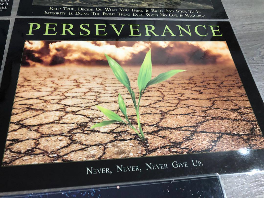 Motivational inspirational posters by renowned Locust brand, Hobbies ...