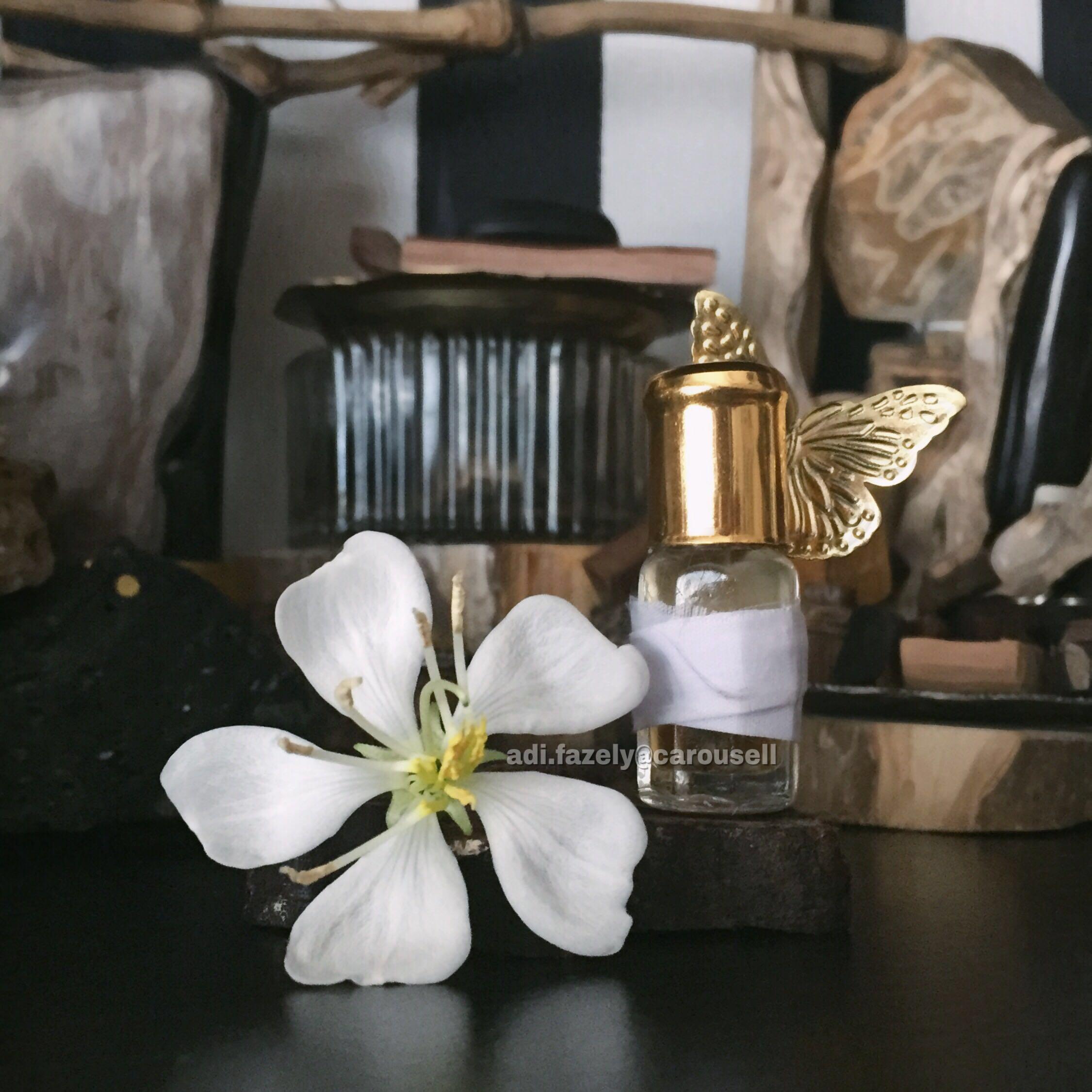 (Sold) #HyperRare : Minyak Wangian Pohon Kayu Senunduk Putih Bersamaan ...