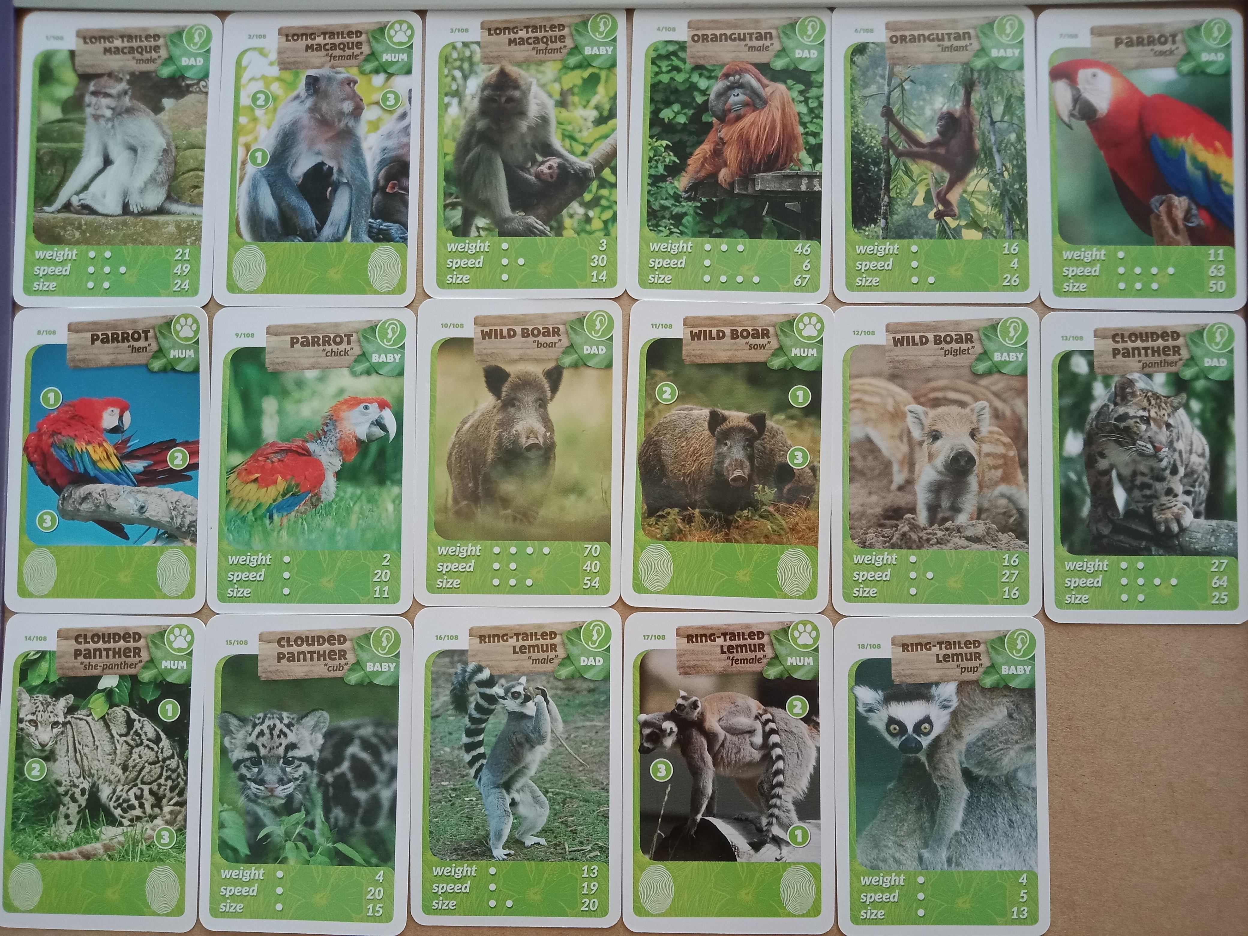 Animal Cards, Hobbies & Toys, Toys & Games on Carousell