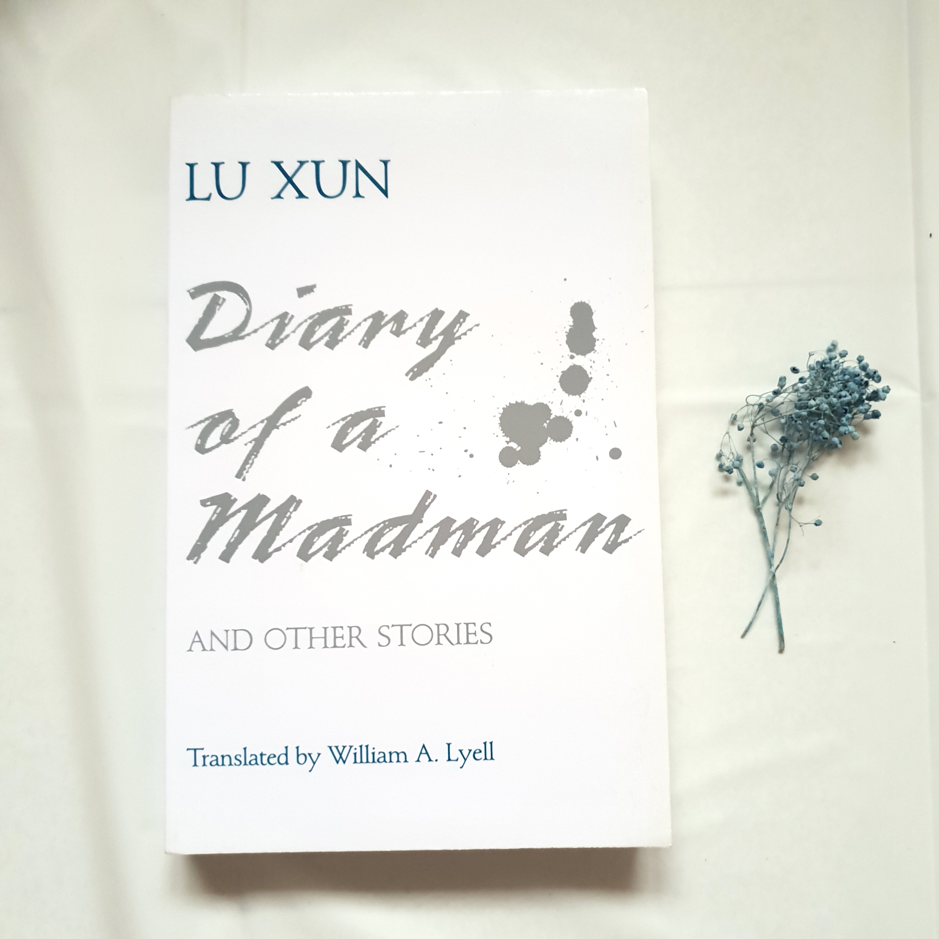 LU XUN's Diary of a Madman, Hobbies & Toys, Books & Magazines, Children's Books on Carousell