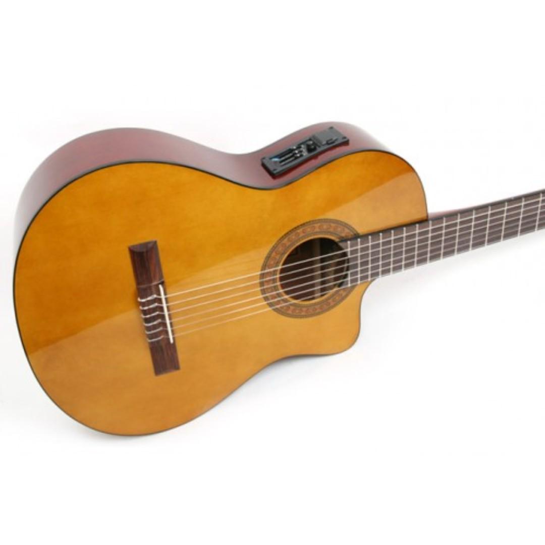 Walden- Classical guitar w/pickup w/Bag (N350CE), Hobbies & Toys, Music ...