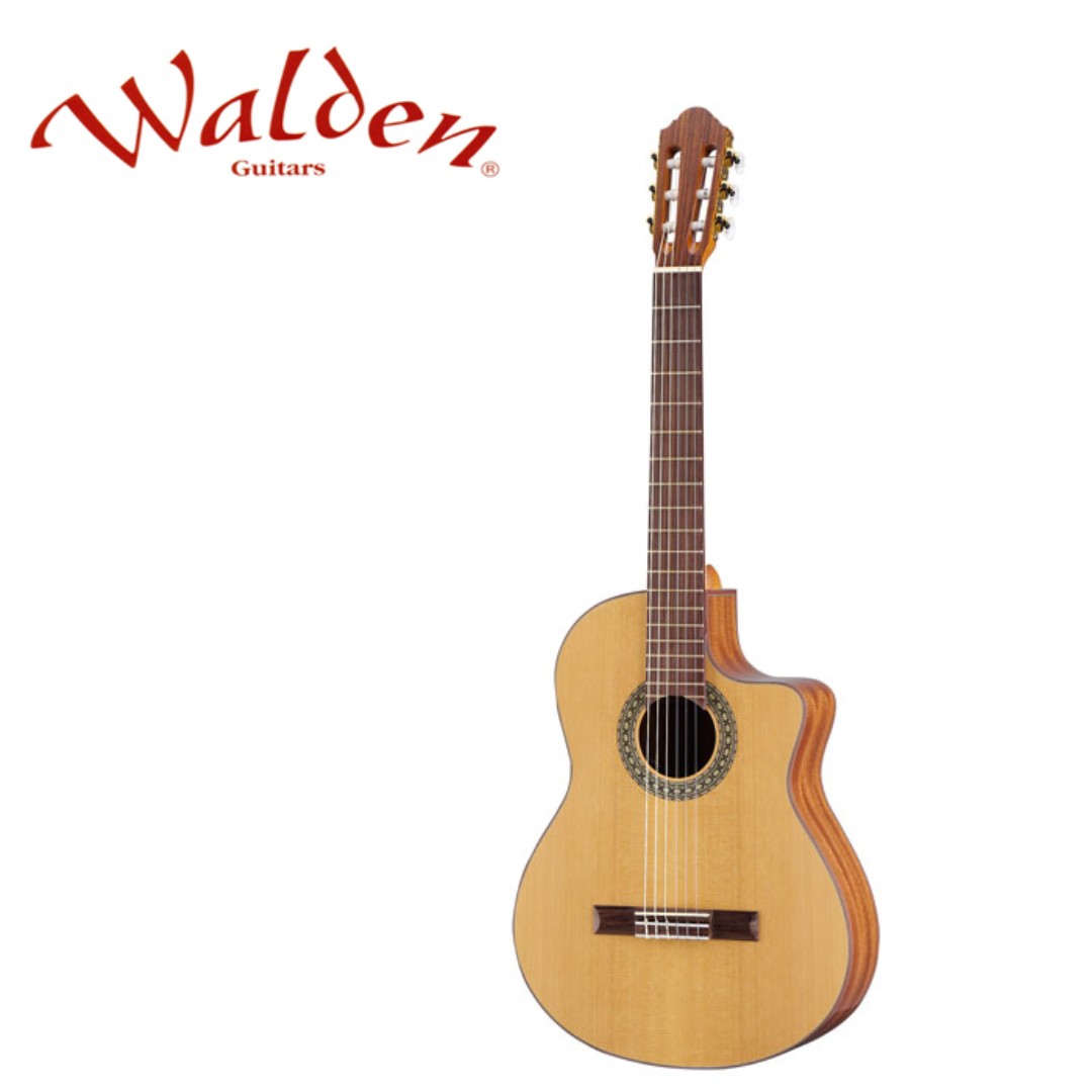 Walden- Classical guitar w/pickup w/Bag (N350CE), Hobbies & Toys, Music ...