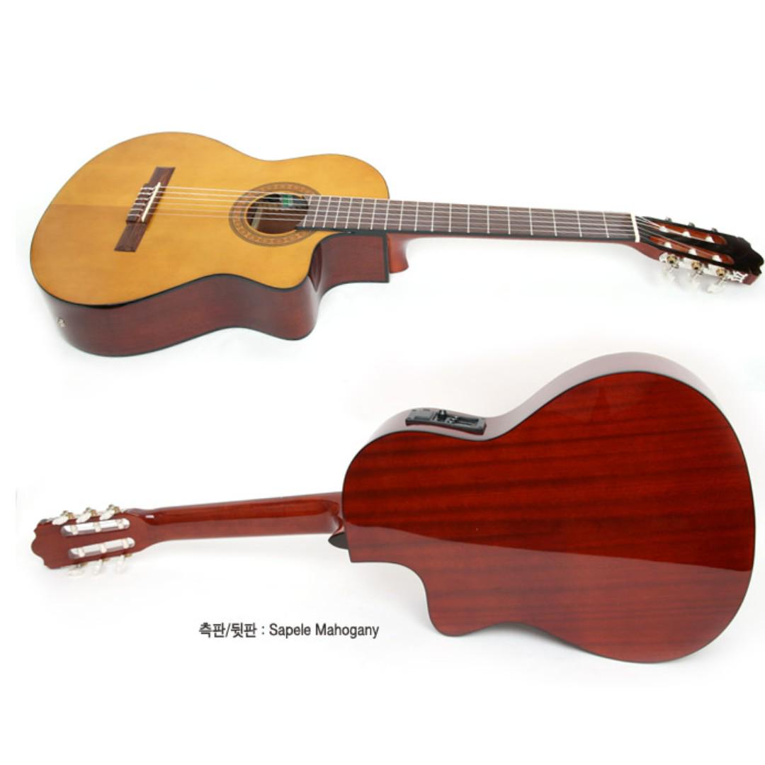 Walden- Classical guitar w/pickup w/Bag (N350CE), Hobbies & Toys, Music ...