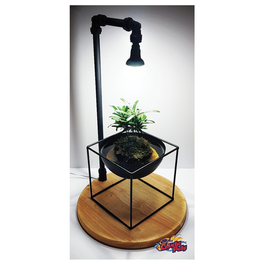 Custom Wooden Base LED Light. Terrarium Light , Aquarium Light ...