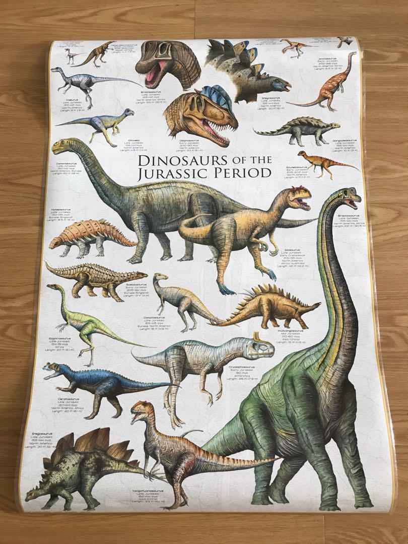 Dinosaurs of the Jurassic Period, Hobbies & Toys, Books & Magazines ...