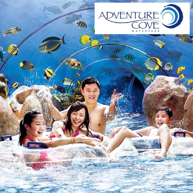 Physical adventure cove water park tickets x2, Tickets & Vouchers ...