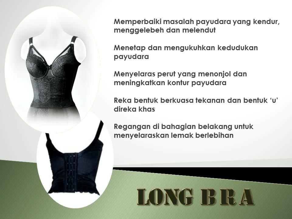 Premium Beautiful Corset - Long Bra 65B, Women's Fashion, New ...