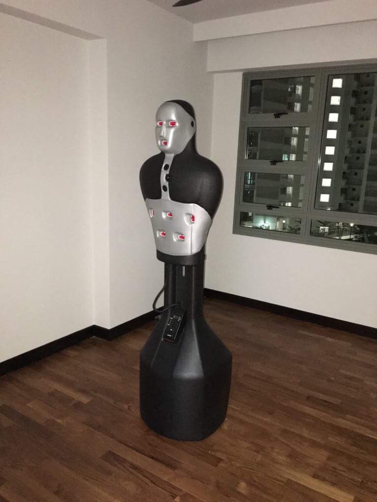 Aibi Slam Man (punching man) + 2 pairs gloves, Sports Equipment ...