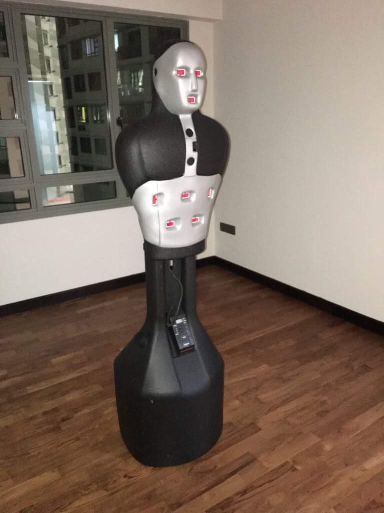 Aibi Slam Man (punching man) + 2 pairs gloves, Sports Equipment ...