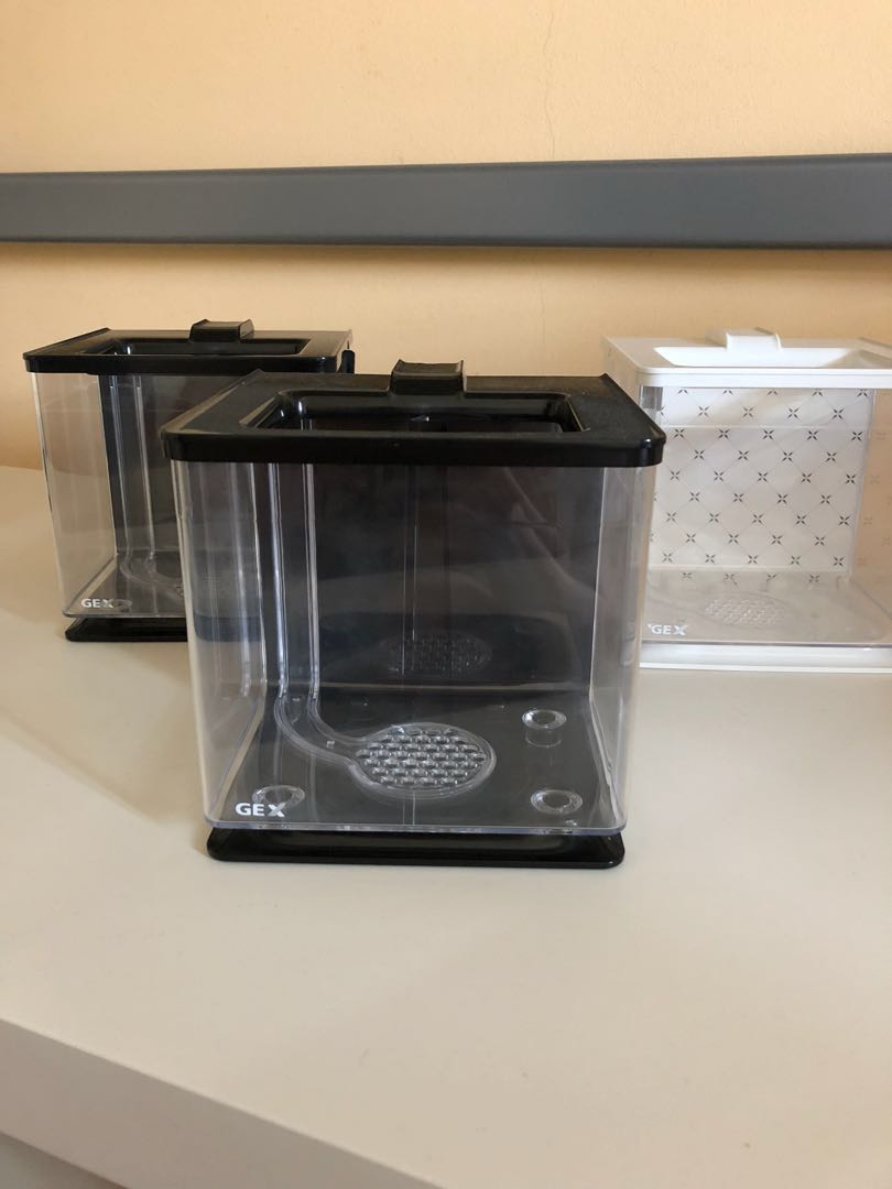 Beta tank, Pet Supplies, Homes & Other Pet Accessories on Carousell