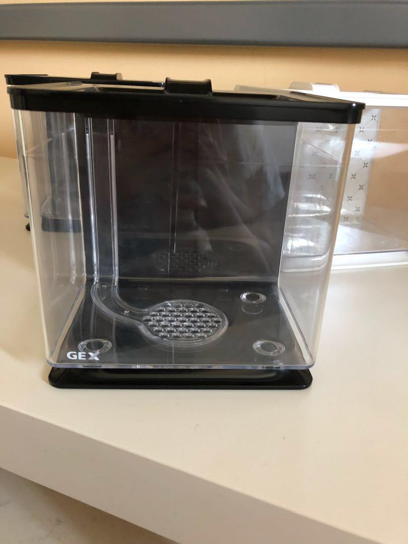 Beta tank, Pet Supplies, Homes & Other Pet Accessories on Carousell