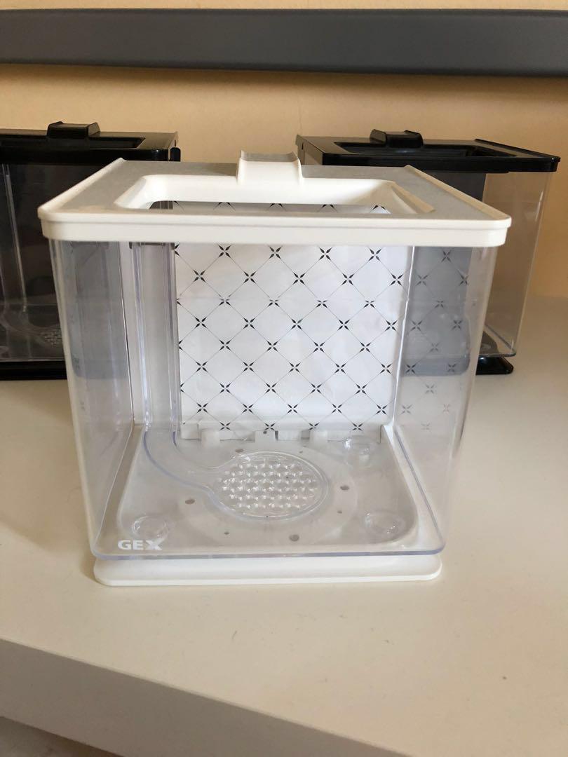 Beta tank, Pet Supplies, Homes & Other Pet Accessories on Carousell