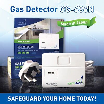 Citygas CG-686N Gas Detector, Furniture & Home Living, Gardening, Hose ...