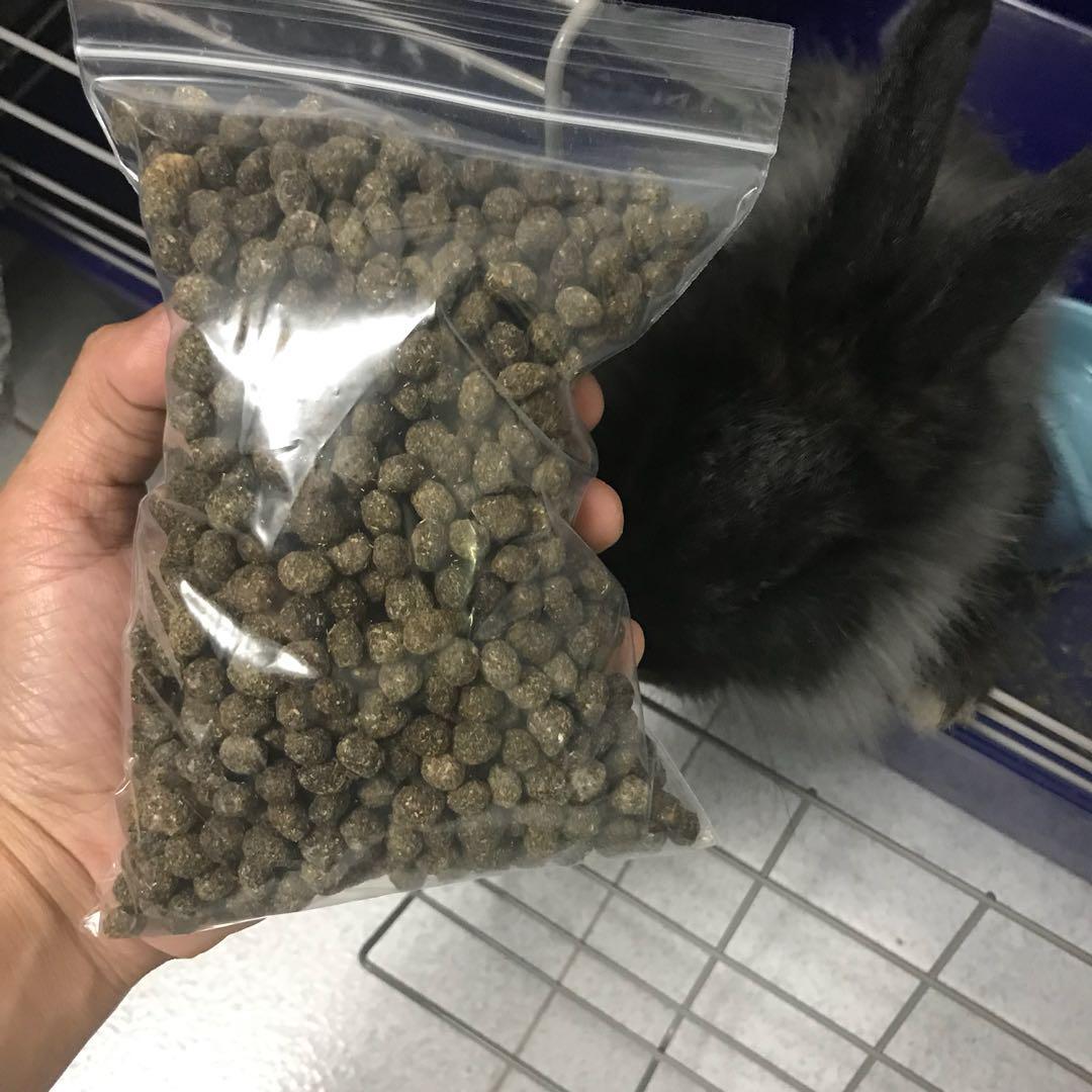 Rabbit Poop 100g for fertilizer, Furniture & Home Living, Gardening ...