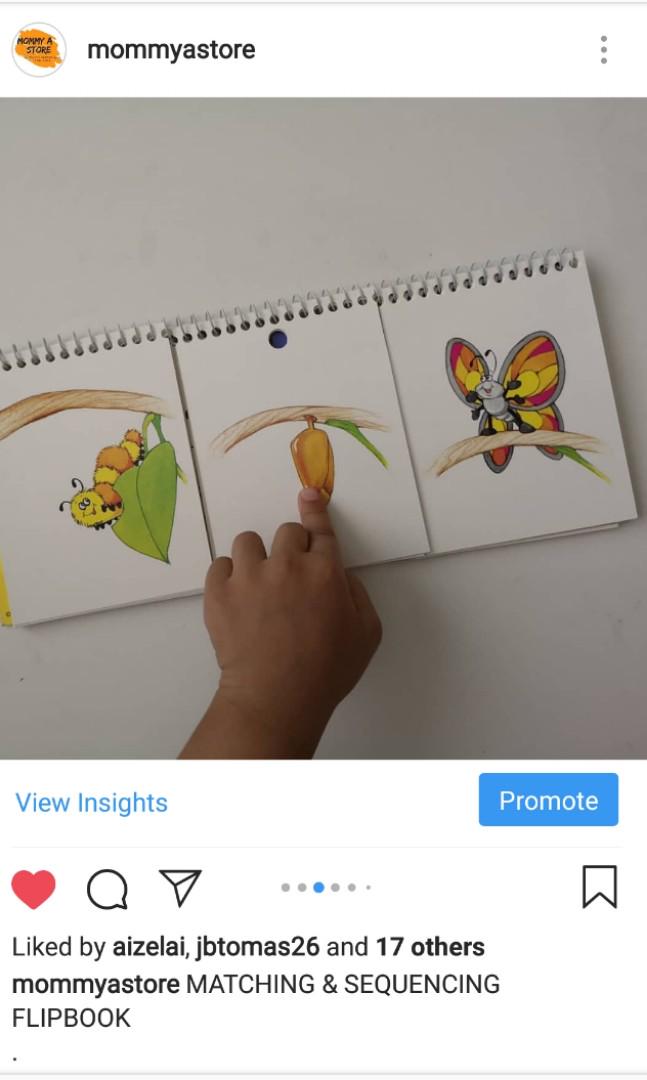 Spelling & Counting and Matching & Sequencing flip books, Hobbies ...