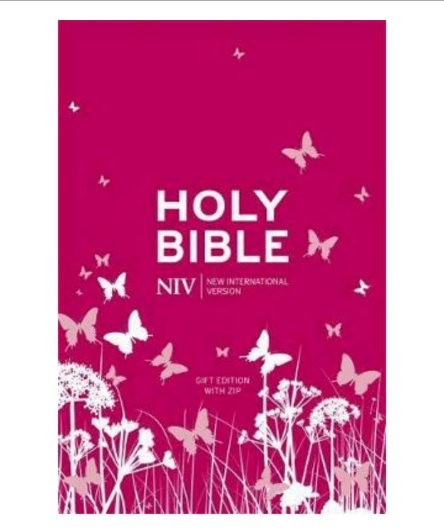 BN NIV Pocket Pink Soft-tone LeatherLike Gift Holy Bible with Zip ...