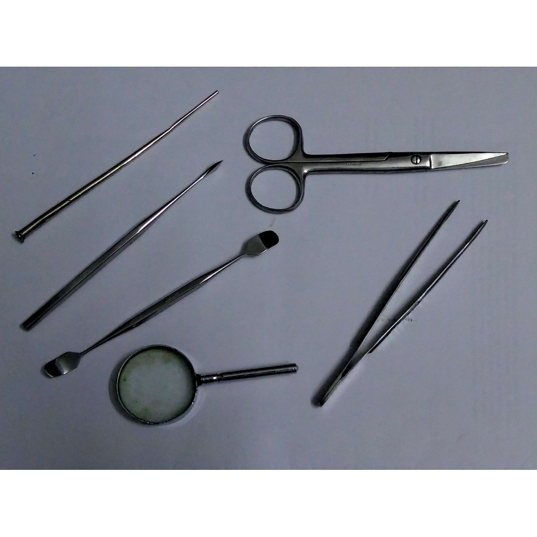 Dissection Kit (Partial), Hobbies & Toys, Stationery & Craft, Craft ...