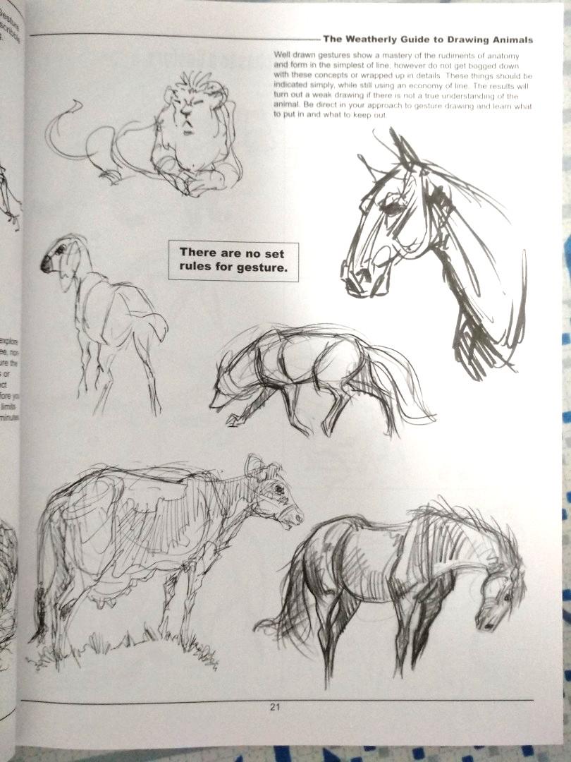 The Weatherly Guide to drawing animals + 2 FREE photocopied art books ...