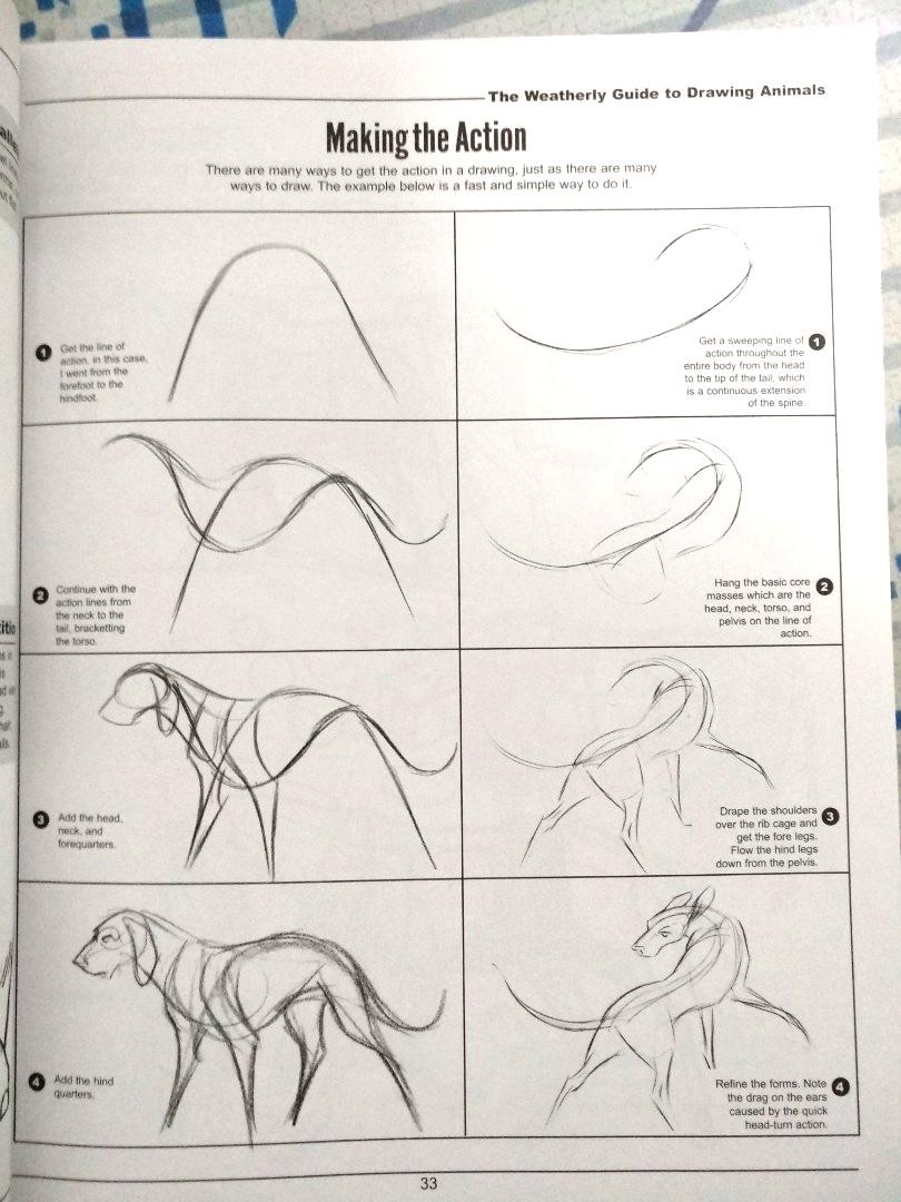 The Weatherly Guide to drawing animals + 2 FREE photocopied art books ...