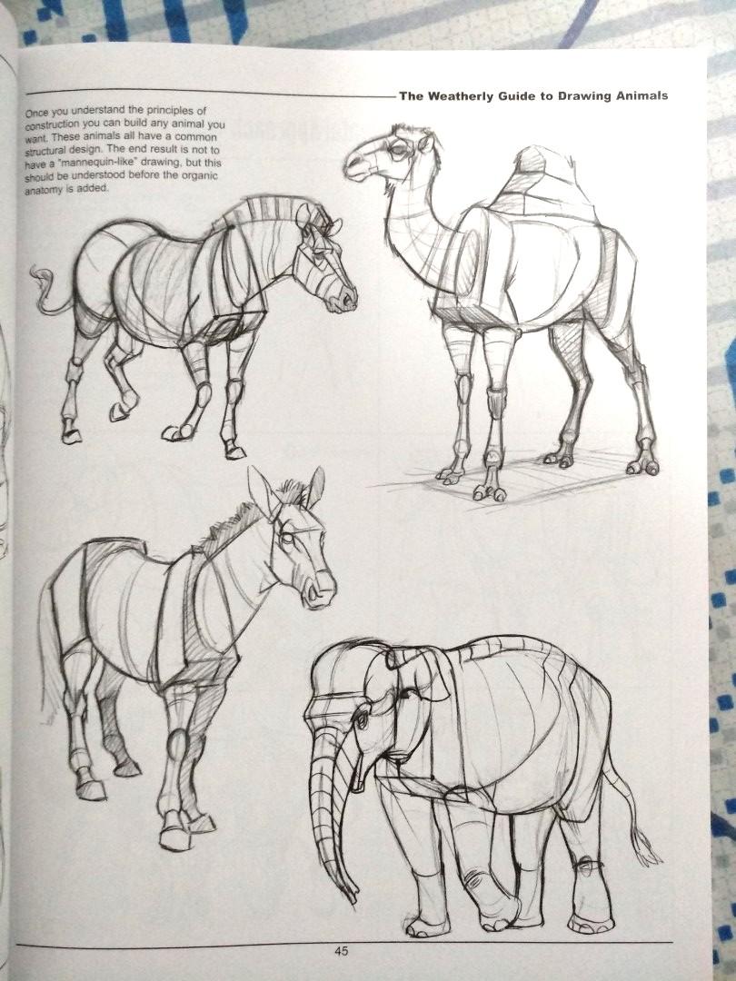 The Weatherly Guide to drawing animals + 2 FREE photocopied art books ...