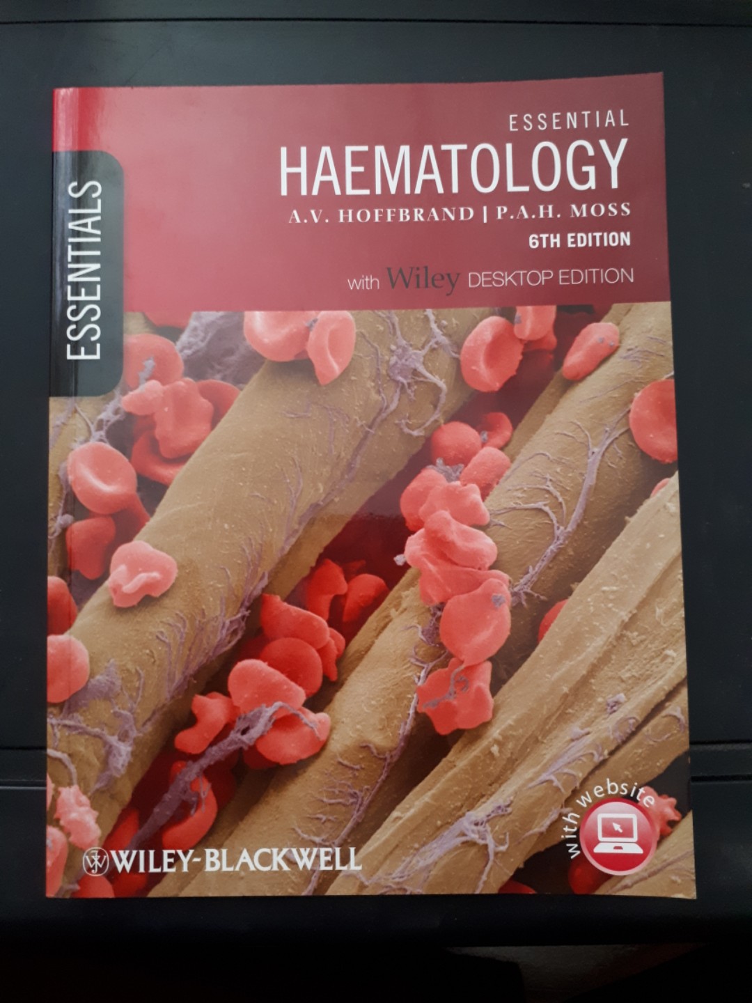 Haematology textbook, Hobbies & Toys, Books & Magazines, Textbooks on ...