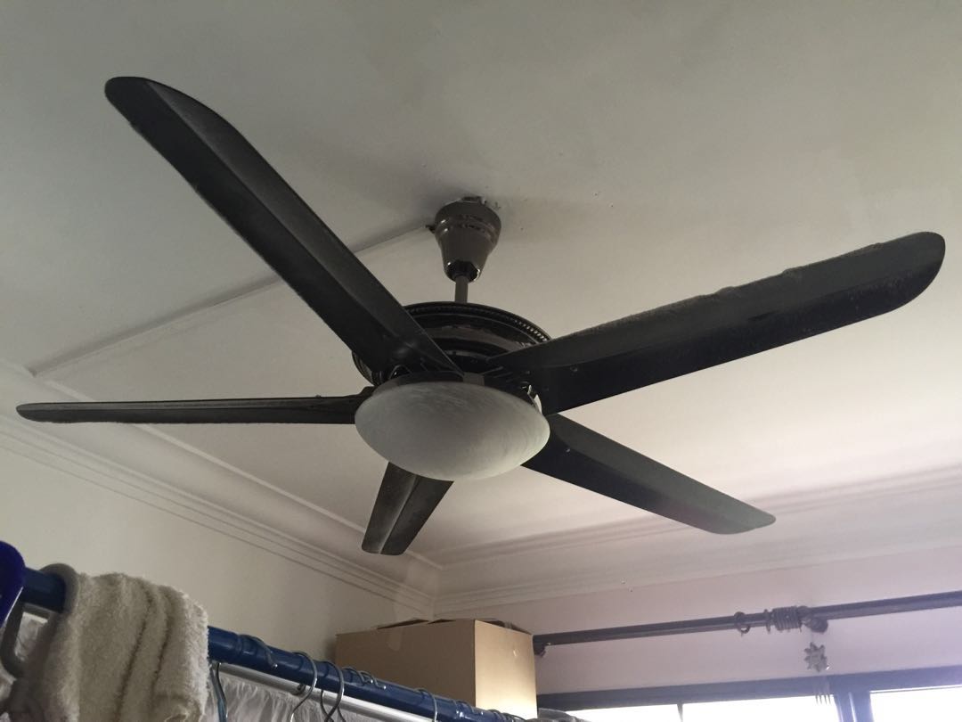 Ceiling fan 5 blades with light and remote control, Furniture & Home ...