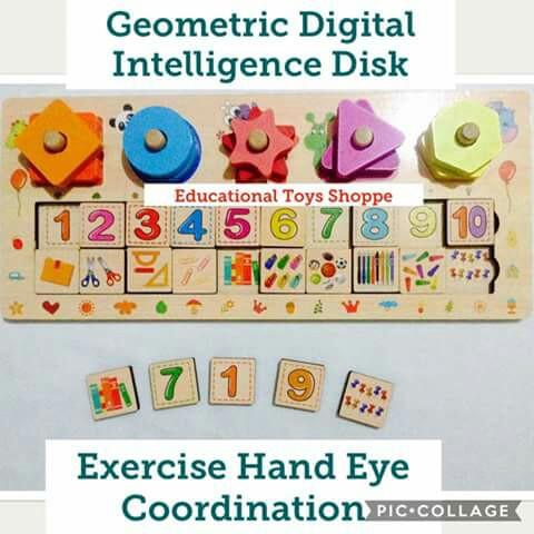 Geometric Intelligence Disk ( Shapes ), Babies & Kids, Infant Playtime ...