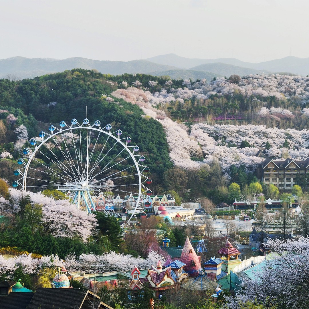 Everland*, Tickets & Vouchers, Event Tickets on Carousell