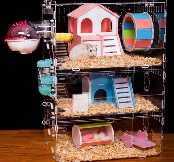 Acrylic Hamster Cage, Pet Supplies, Homes & Other Pet Accessories on Carousell