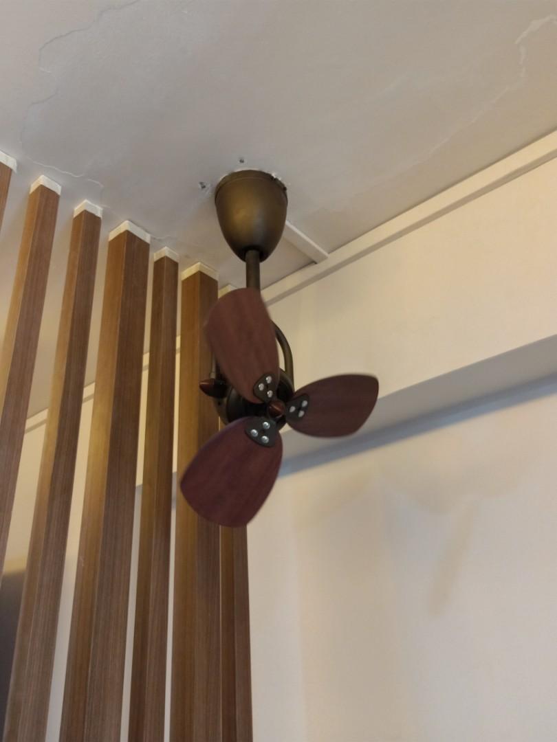 BNIB NSB FINO 2 CEILING FAN @ $300, Furniture & Home Living, Lighting ...