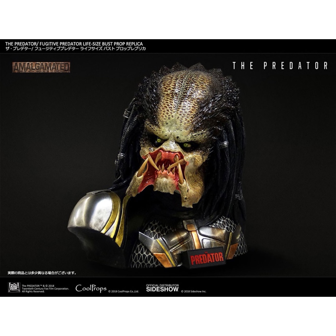 Sideshow Collectibles x CoolProps - Life-Size Bust - Fugitive Predator ...