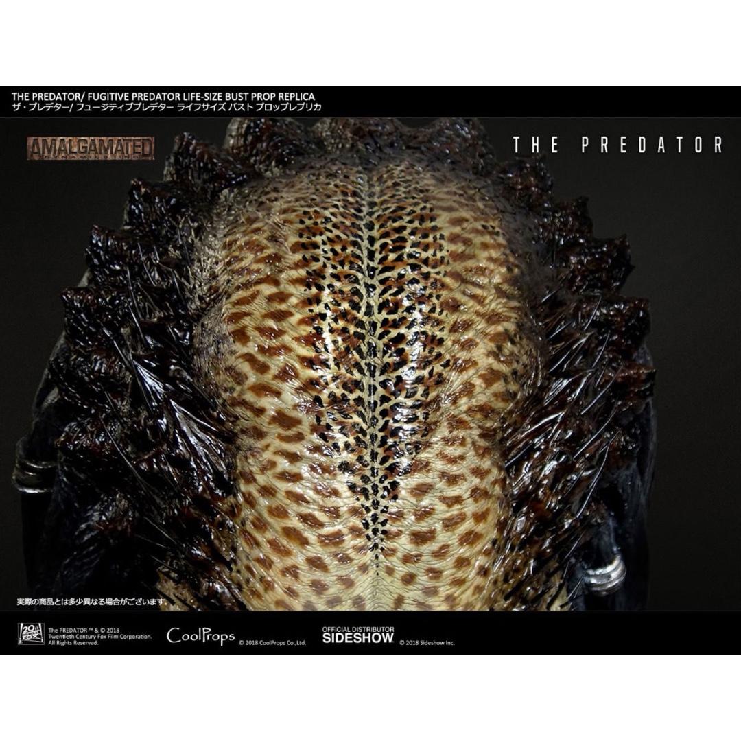 Sideshow Collectibles x CoolProps - Life-Size Bust - Fugitive Predator ...