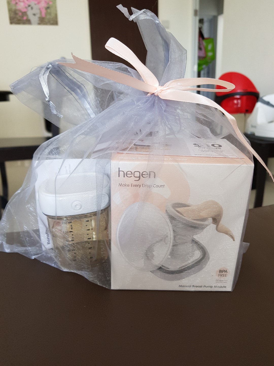 Hagen Manual Breast Pump, Babies & Kids, Nursing & Feeding ...