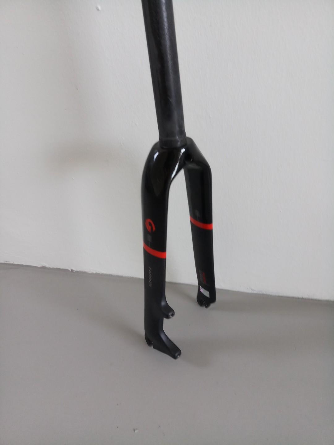 Carbon Rigid Fork for mini velo, Sports Equipment, Bicycles & Parts ...