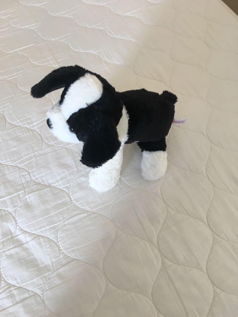BLACK AND WHITE DOG SOFT TOY, Hobbies & Toys, Toys & Games on Carousell