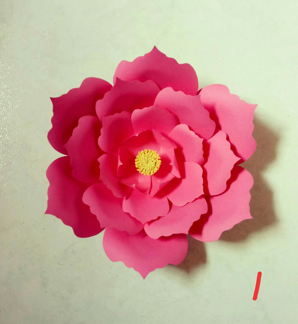 Handmade paper flower backdrop decoration, Hobbies & Toys, Stationery ...