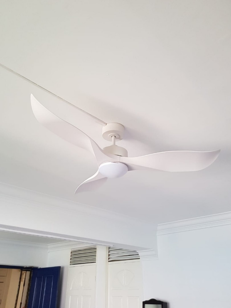 Amasco Ceiling Fan Singapore Review | Shelly Lighting